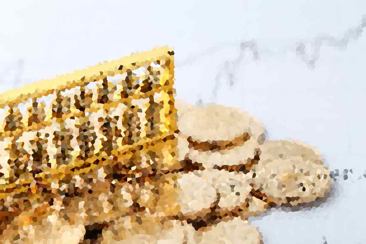 Understanding Credit Scores and How to Improve Them – naripage.com